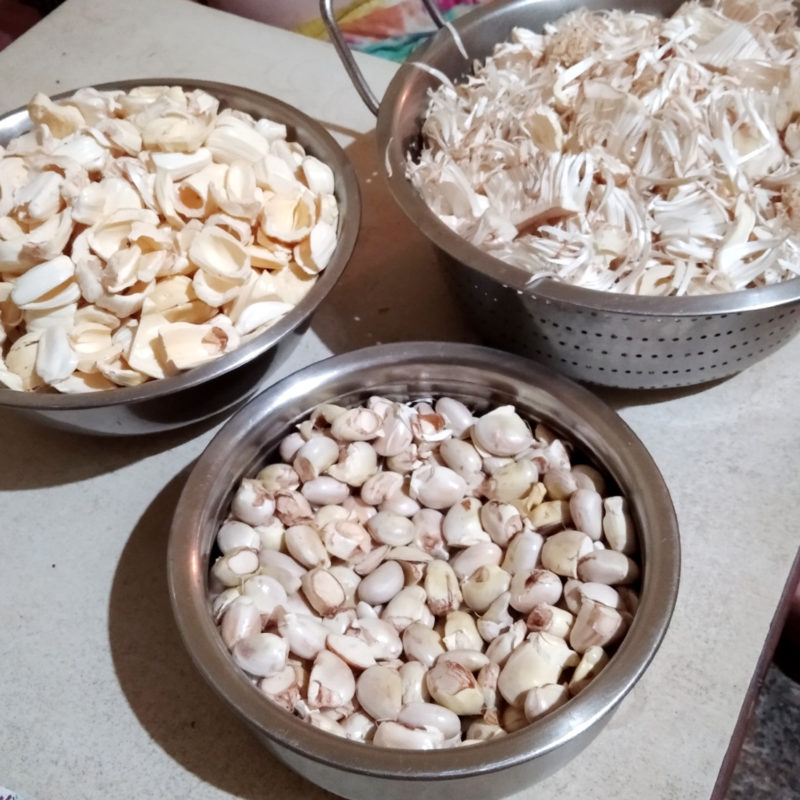 For the Love of Jackfruit - What is a Jackfruit