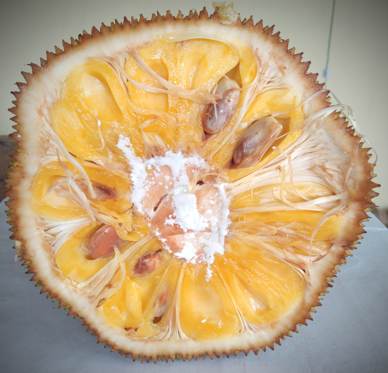 For the Love of Jackfruit - What is a Jackfruit